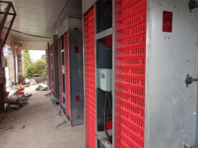 China High-rise Multi-tier Hot-dip Galvanized Layer Cage System for Automated Poultry Farming for sale