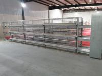 China High-rise Multi-tier Hot-dip Galvanized Layer Cage System for Automated Poultry Farming for sale