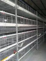 China High-rise Multi-tier Hot-dip Galvanized Layer Cage System for Automated Poultry Farming for sale