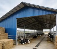 China Customizable Earthquake Resistant Corrosion Resistant Quick Assembly Steel Structure Poultry House for Livestock Farming for sale