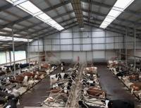 China Easy to Install Anti-Corrosion Earthquake Resistant Prefab Steel Structure Farmhouse Livestock Shed for sale