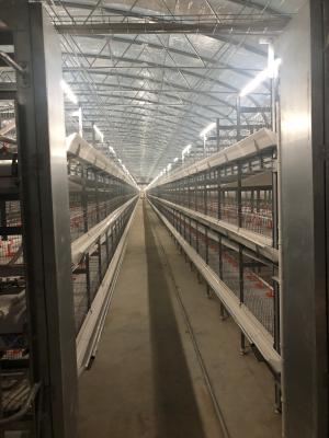 China High Strength Q235/Q355 Steel Structure Chicken House with 15-20 Years Lifespan and Modular Easy Assembly for sale
