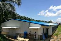 China High Strength Q235/Q355 Steel Structure Chicken House with 15-20 Years Lifespan and Modular Easy Assembly for sale