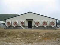 China High Strength Q235/Q355 Steel Structure Chicken House with 15-20 Years Lifespan and Modular Easy Assembly for sale