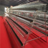 China Hot-dip Galvanized Automated Manure Removal Cage Poultry Equipment with Easy Installation and Corrosion Resistance for sale