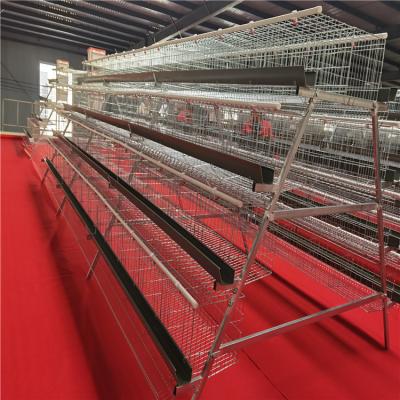 China Hot-dip Galvanized Automated Manure Removal Cage Poultry Equipment with Easy Installation and Corrosion Resistance for sale