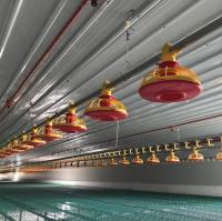 China Poultry Farming Equipment Intelligent Feeding System with Low Maintenance and High Efficiency for sale