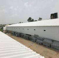 China Automatic Poultry Drinking System with Hygienic Closed Design, Durable Corrosion-Resistant Materials, and Water-Saving Technology for sale