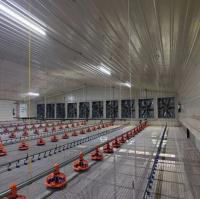 China Low Cost Automatic Poultry Equipment with Feed Delivery, Ventilation, and Cooling Systems for sale