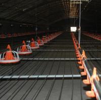 China Low Cost Automatic Poultry Equipment with Feed Delivery, Ventilation, and Cooling Systems for sale