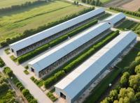 China Easy Disassembly Good Ventilation Prefabricated Steel Structure Chicken Shed Poultry House for sale