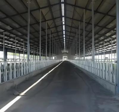 China Hot-DIP Galvanized Steel Frame Dairy Barn with Customizable Span 12-30m and 20-Year Design Life for sale
