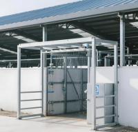 China Hot-DIP Galvanized Steel Frame Dairy Barn with Customizable Span 12-30m and 20-Year Design Life for sale