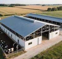 China Hot-Dip Galvanized Steel Cattle Shelter with Customizable Span 12-30m and 20-Year Design Life for sale