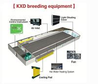 China Corrosion Resistant Hot-dip Galvanized Layer Chicken Cage with High Egg Laying Rate for Poultry Farming for sale