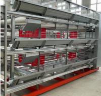 China Corrosion Resistant Hot-dip Galvanized Layer Chicken Cage with High Egg Laying Rate for Poultry Farming for sale