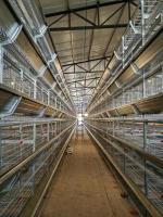 China Corrosion Resistant Hot-dip Galvanized Layer Chicken Cage with High Egg Laying Rate for Poultry Farming for sale