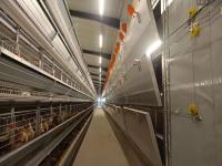 China Corrosion Resistant Hot-dip Galvanized Layer Chicken Cage with High Egg Laying Rate for Poultry Farming for sale