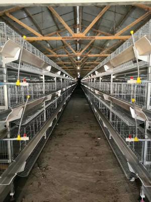 China Hot-dip galvanized H-type layer cage with high egg laying rate and good ventilation for large scale poultry breeding for sale