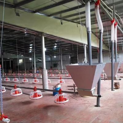 China Automation Equipment for Poultry Farm House with Easy Mobility Excellent Corrosion Resistance and Wind Rain Resistant for sale