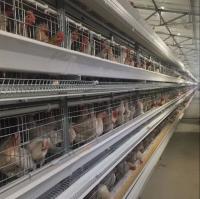 China Automation Equipment for Poultry Farm House with Easy Mobility Excellent Corrosion Resistance and Wind Rain Resistant for sale