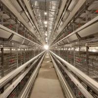 China Galvanized Light Steel Frames Broiler Chicken House with Low Maintenance Required and Modular/Panelized Installation Poultry Farming Equipment for sale