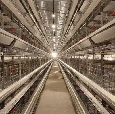 China Galvanized Light Steel Frames Broiler Chicken House with Low Maintenance Required and Modular/Panelized Installation Poultry Farming Equipment for sale