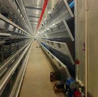 China PureFlow Poultry Unit with Optimized Airflow Heavy-Duty Construction and Modular Design for Poultry Farming for sale
