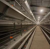 China Corrosion Resistant High Efficiency Modular Poultry Ventilation System for Energy Saving Farm Ventilation for sale