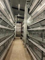 China H Shaped Stacked Layer Chicken Cage with Modular Structure, Automatic Ventilation System, and Hot-DIP Galvanized Steel for sale