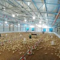China Corrosion Resistant High Efficiency Modular Poultry Ventilation System for Energy Saving Farm Ventilation for sale