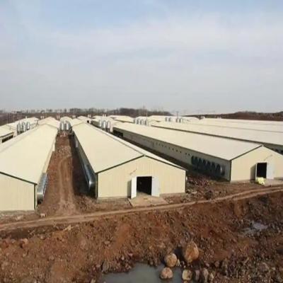 China Poultry Farming Equipment Intelligent Feeding System with Low Maintenance and High Efficiency for sale
