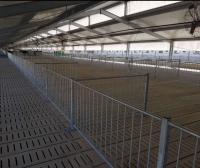 China Hot Galvanized Prefabricated Steel Structure Pig House with Bolted Connection for Easy Installation for sale