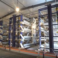 China H Section Steel Fully Automatic Broiler Chicken Cage with Galvanized Steel Poultry Farm Equipment for sale