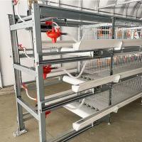 China H Section Steel Fully Automatic Broiler Chicken Cage with Galvanized Steel Poultry Farm Equipment for sale
