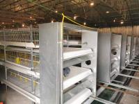 China Cheap Price Chicken House Automated Feeding Drinking Equipment with Automatic Feeding and Drinking Systems for Low Operation Cost for sale