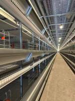 China Modern Automatic Broiler Chicken Farming Equipment with Automated Feeding, Climate Control, and Modular Design for Poultry Broiler Cage for sale