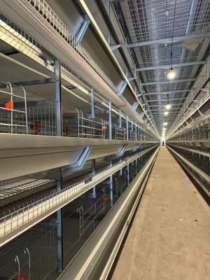 China Modern Automatic Broiler Chicken Farming Equipment with Automated Feeding, Climate Control, and Modular Design for Poultry Broiler Cage for sale