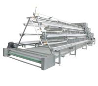 China Modern Automatic Broiler Chicken Farming Equipment with Automated Feeding, Climate Control, and Modular Design for Poultry Broiler Cage for sale