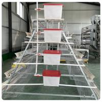 China Modern Automatic Broiler Chicken Farming Equipment with Automated Feeding, Climate Control, and Modular Design for Poultry Broiler Cage for sale