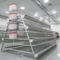 China Modern Automatic Broiler Chicken Farming Equipment with Automated Feeding, Climate Control, and Modular Design for Poultry Broiler Cage for sale