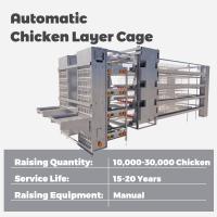 China Automatic Galvanized Steel Chicken Poultry Battery Cage with Manure Removal and Customizable Finishes for sale