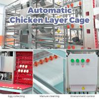 China Automatic Galvanized Steel Chicken Poultry Battery Cage with Manure Removal and Customizable Finishes for sale