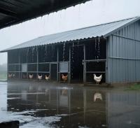 China Low Maintenance Cost Stable Structure Prefabricated Steel Chicken Coop for Poultry House Farming for sale