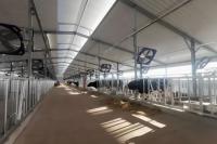 China Low Maintenance Cost Stable Structure Prefabricated Steel Chicken Coop for Poultry House Farming for sale