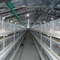 China Easy Installation Strong Snow Pressure Resistance Prefabricated Steel Structure Chicken Coop for Poultry Farming for sale