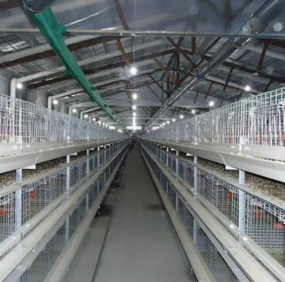 China Easy Installation Strong Snow Pressure Resistance Prefabricated Steel Structure Chicken Coop for Poultry Farming for sale