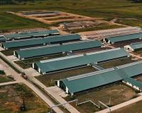 China Easy Installation Strong Snow Pressure Resistance Prefabricated Steel Structure Chicken Coop for Poultry Farming for sale