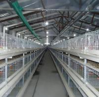 China Low Maintenance Cost Prefabricated Steel Structure Poultry House with Suitable Temperature Control for sale