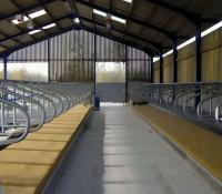 China Prefabricated Galvanized Steel Structure Cattle Shed Customizable Cow Barn for Livestock Farming for sale